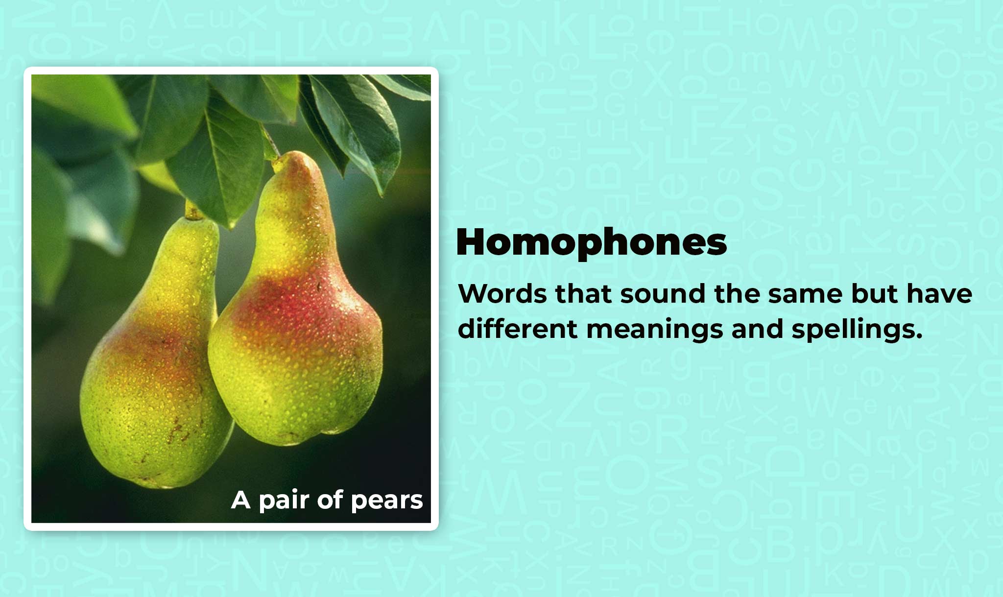 News-O-Matic | Homophones, Homonyms, and Homographs