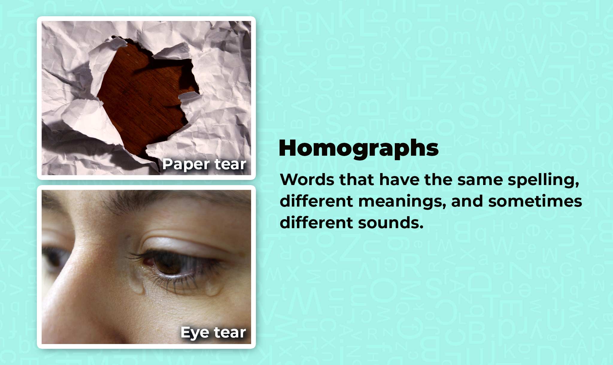 News-O-Matic | Homophones, Homonyms, and Homographs