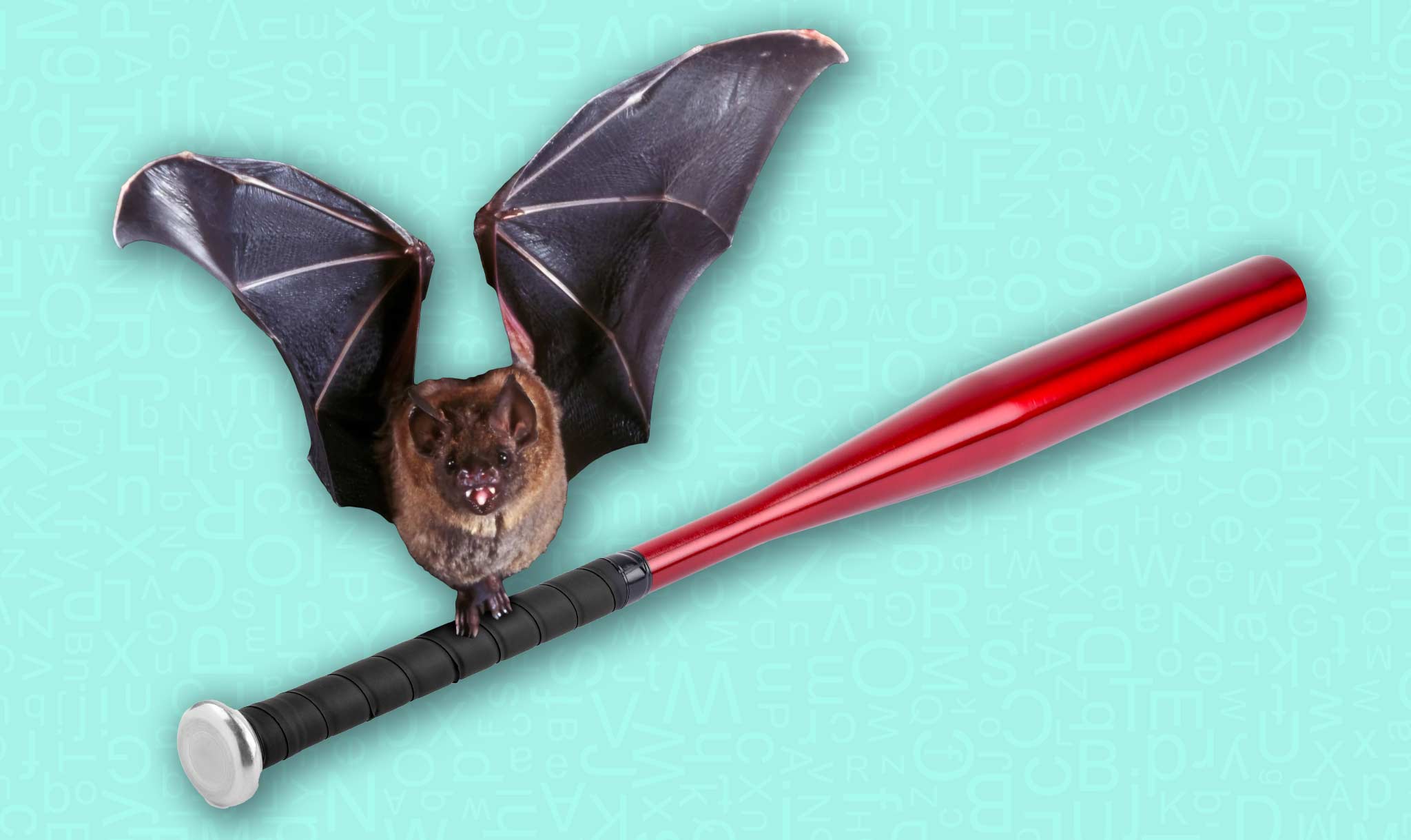 News-O-Matic | Homophones, Homonyms, and Homographs