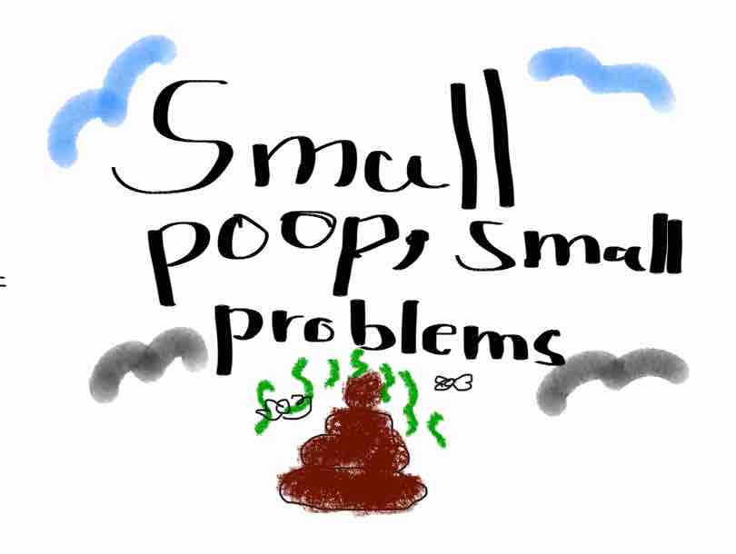 News-O-Matic | News Room