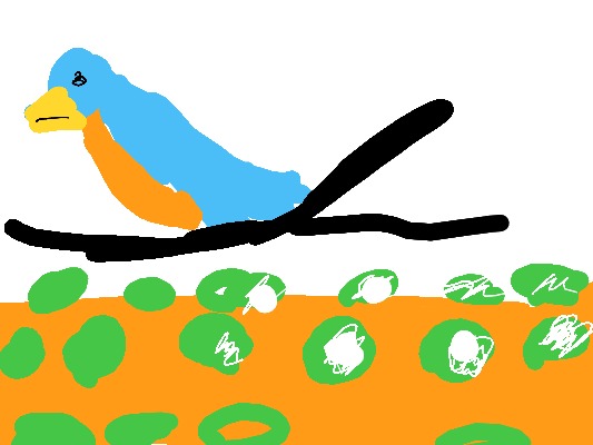 News-O-Matic | News Room