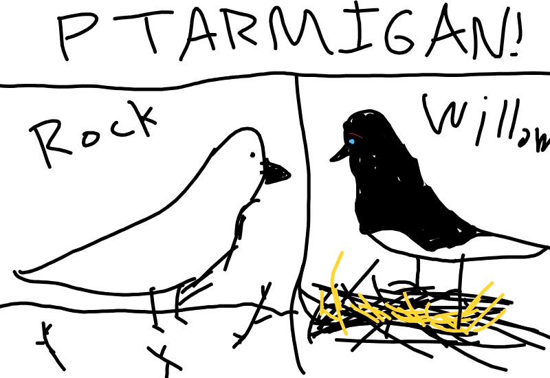 News-O-Matic | News Room